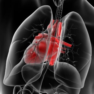 New Study Shows Approximately 340,000 CABG Procedures per Year in the ...